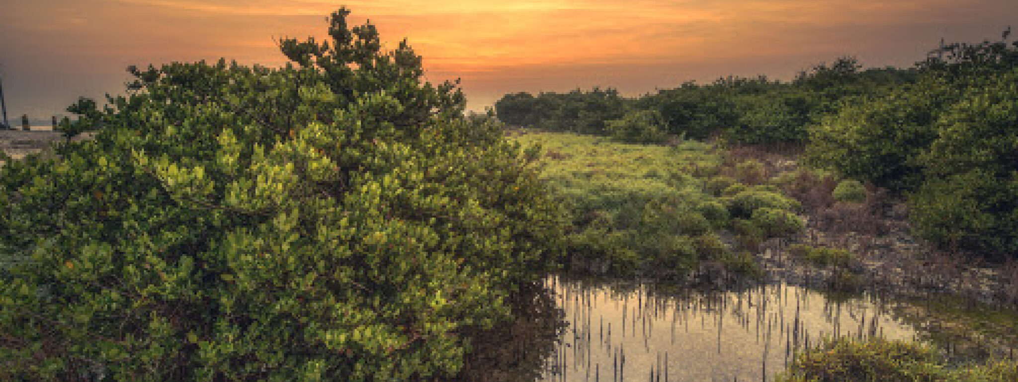 Bahrain Limousine Services